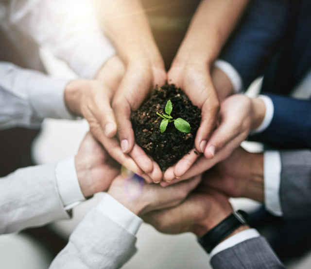 Hvem er vi? - Læs mere om Vanpee A/S og vores historie her